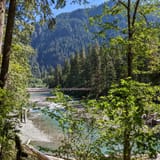 Baker River Trail, Washington - 237 Reviews, Map | AllTrails
