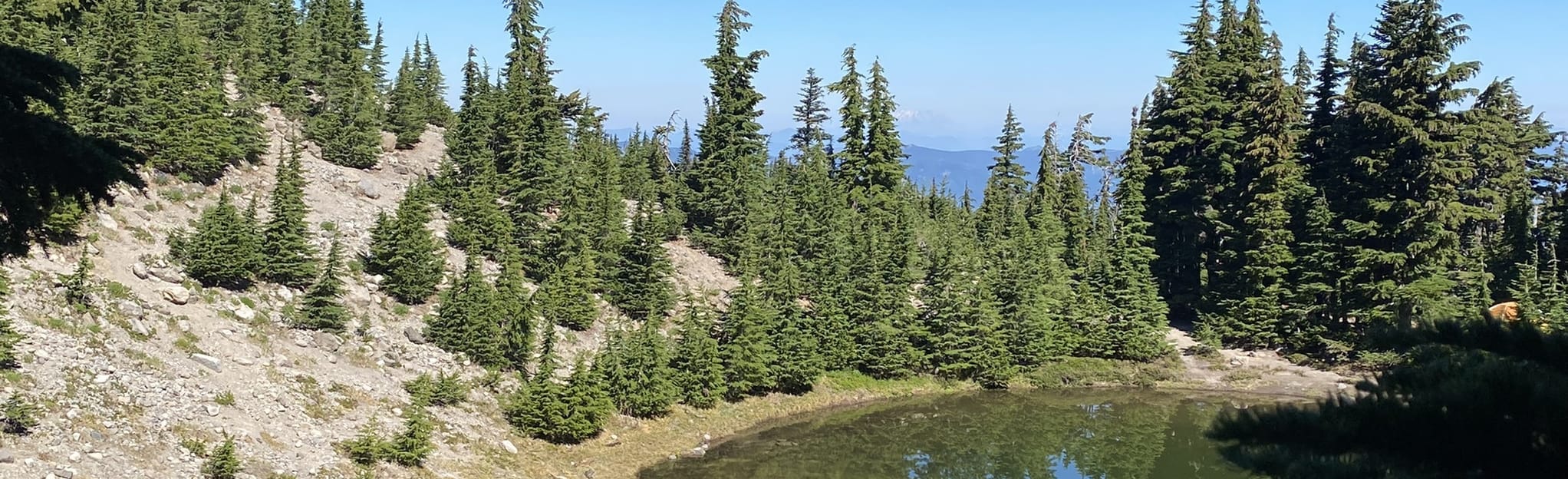 Barrett Spur via Pinnacle Ridge Trail: 7 Reviews, Map - Oregon | AllTrails