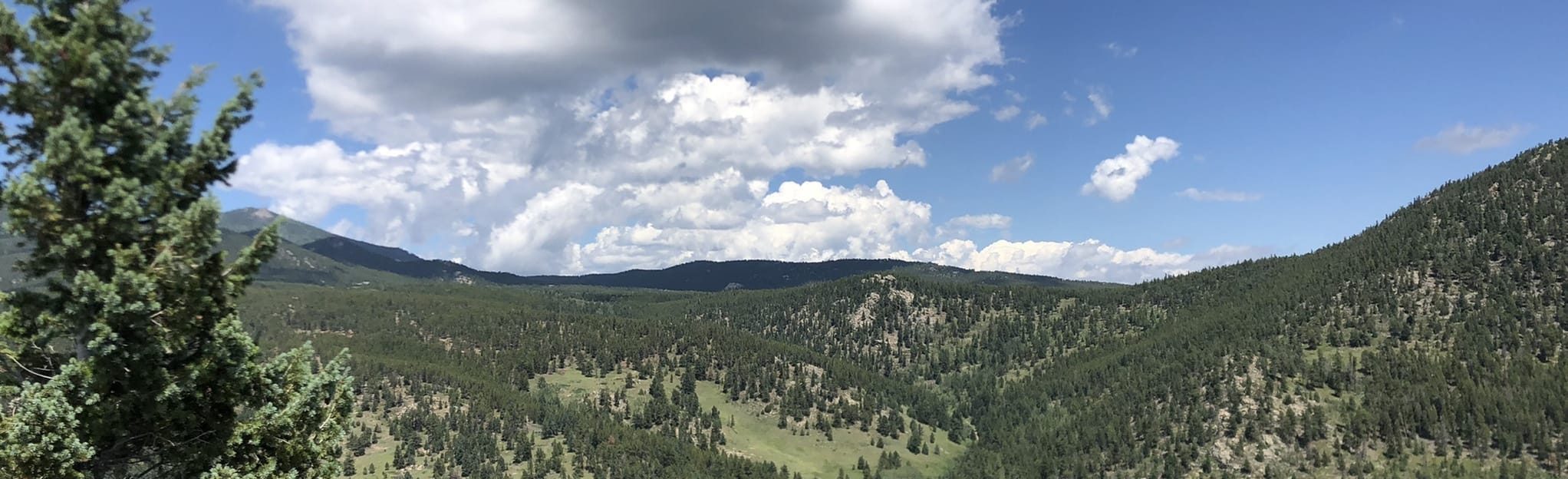 Burro Trail to City Lights Ridge, Colorado - 108 Reviews, Map | AllTrails