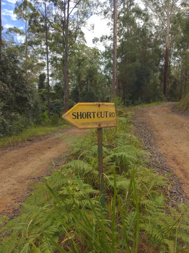 Best Hikes and Trails in Orara East State Forest | AllTrails