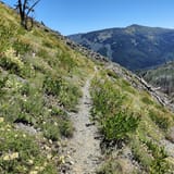 Seven Devils Loop, Idaho - 111 Reviews, Map | AllTrails