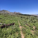 Seven Devils Loop, Idaho - 111 Reviews, Map | AllTrails