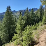 Seven Devils Loop, Idaho - 122 Reviews, Map | AllTrails