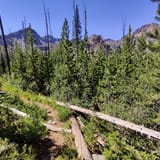 Seven Devils Loop, Idaho - 122 Reviews, Map | AllTrails