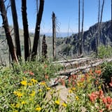 Seven Devils Loop, Idaho - 111 Reviews, Map | AllTrails