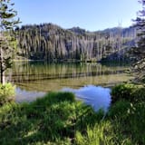 Seven Devils Loop, Idaho - 111 Reviews, Map | AllTrails
