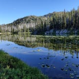 Seven Devils Loop, Idaho - 111 Reviews, Map | AllTrails