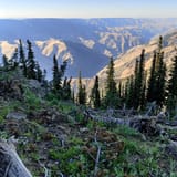 Seven Devils Loop, Idaho - 111 Reviews, Map | AllTrails