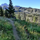 Seven Devils Loop, Idaho - 111 Reviews, Map | AllTrails