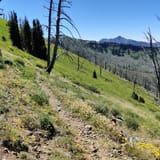 Seven Devils Loop, Idaho - 111 Reviews, Map | AllTrails