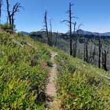 Seven Devils Loop, Idaho - 111 Reviews, Map | AllTrails