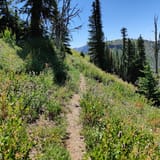 Seven Devils Loop, Idaho - 111 Reviews, Map | AllTrails