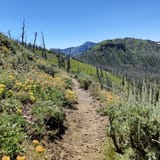 Seven Devils Loop, Idaho - 111 Reviews, Map | AllTrails