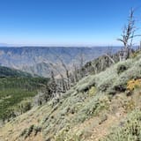 Seven Devils Loop, Idaho - 111 Reviews, Map | AllTrails