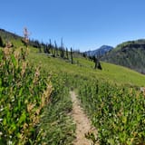 Seven Devils Loop, Idaho - 111 Reviews, Map | AllTrails