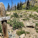 Seven Devils Loop, Idaho - 111 Reviews, Map | AllTrails