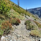 Seven Devils Loop, Idaho - 111 Reviews, Map | AllTrails