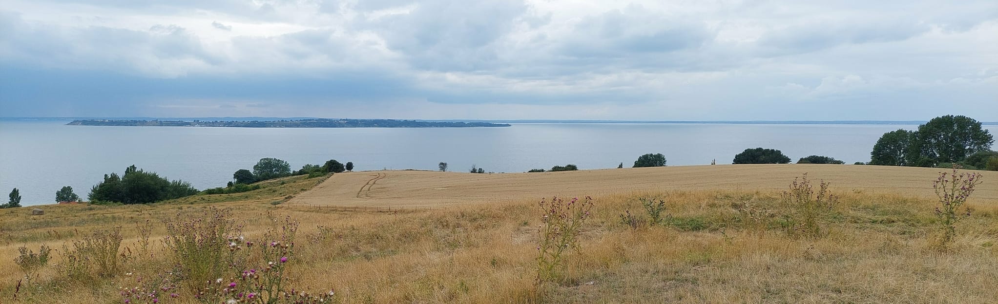 Hilleshögs Dalar Loop, Skåne, Sweden - 15 Reviews, Map | AllTrails