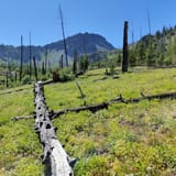 Seven Devils Loop, Idaho - 122 Reviews, Map | AllTrails