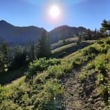 Seven Devils Loop, Idaho - 122 Reviews, Map | AllTrails