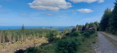 2023 Best River Trails in Glencullen | AllTrails