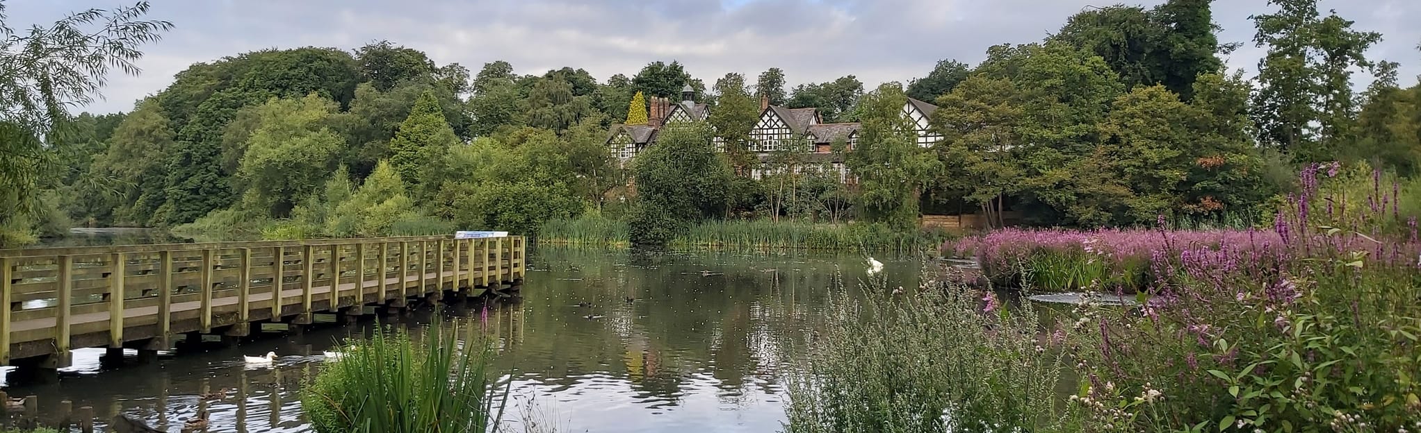 Roe Green Loop Line and Bridgewater Canal Circular: 382 Reviews, Map ...