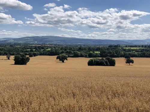 Best Hikes and Trails in Greenane | AllTrails