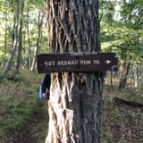 Redman Run Trail, West Virginia - 100 Reviews, Map | AllTrails