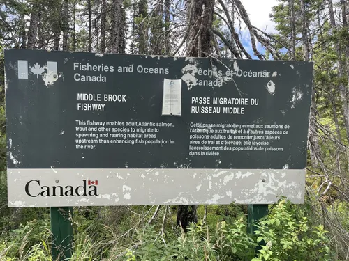 Best Fishing Trails in Gambo | AllTrails