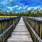 Grassy Waters Preserve: Owahee Trail, Florida - 146 Reviews, Map ...