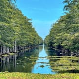 Grassy Waters Preserve: Owahee Trail, Florida - 146 Reviews, Map ...