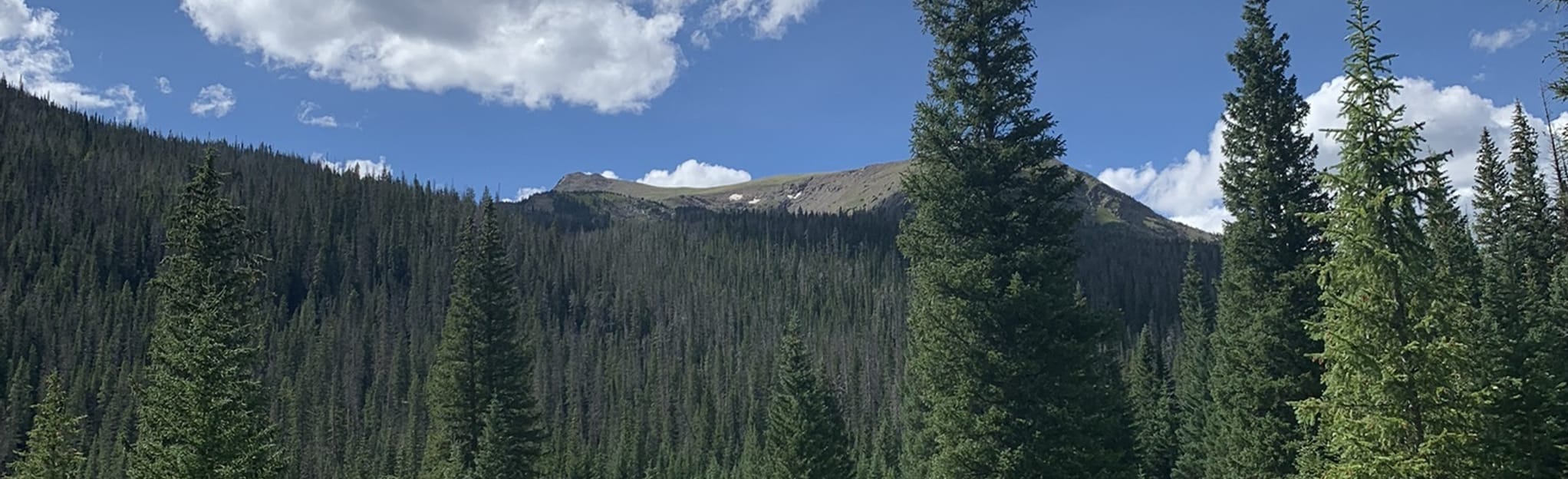 Lulu City Trail - Colorado | AllTrails