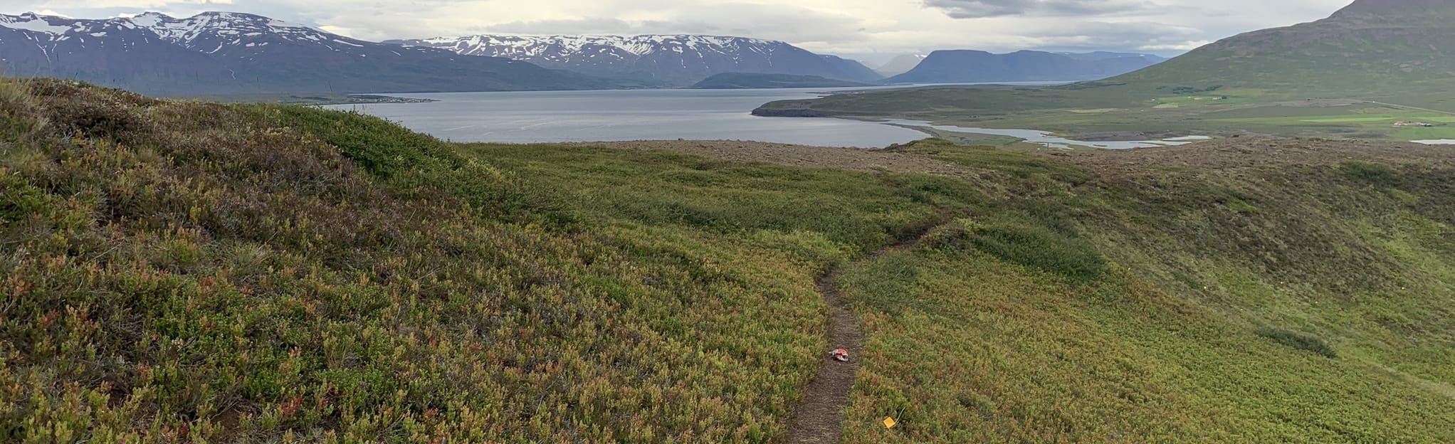 Dalvík - Kofi, Northeastern, Iceland - 57 Reviews, Map | AllTrails