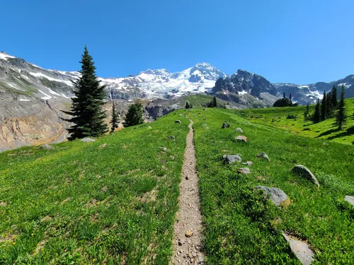 2023 Best 10 Trails and Hikes in Longmire | AllTrails