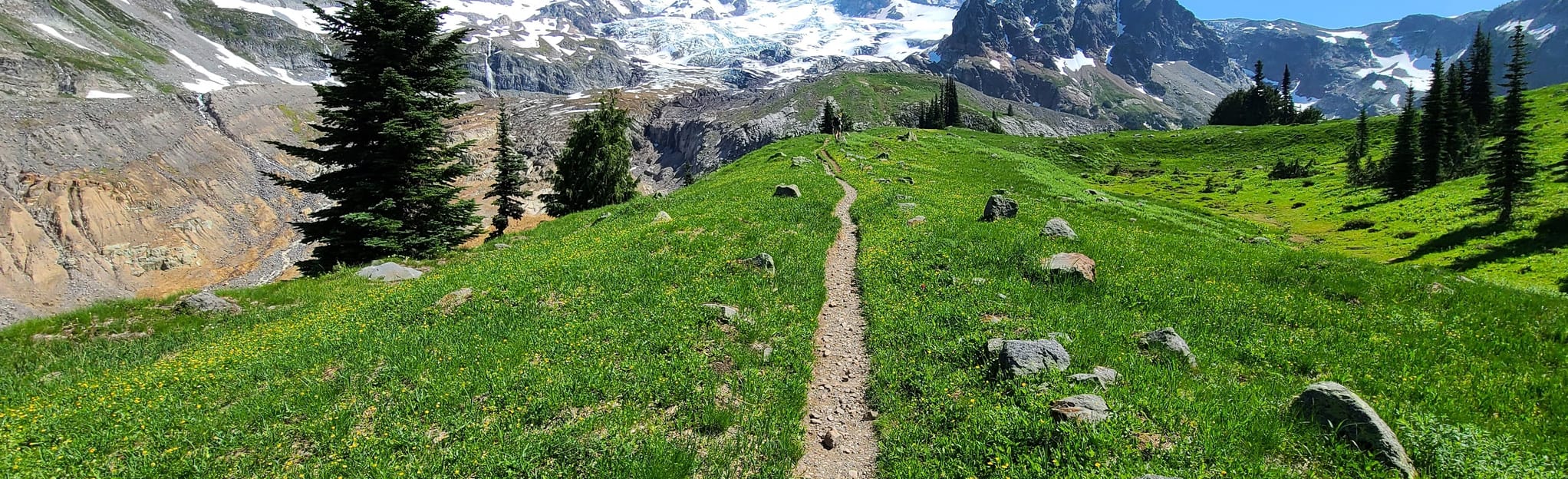 Emerald Ridge Trail, Washington - 60 Reviews, Map | AllTrails