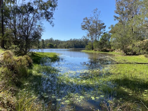 Best Hikes and Trails in Lake Manchester Reservoir | AllTrails
