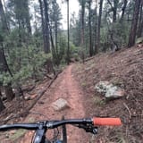 Payson Rim Highline Loop, Arizona - 22 Reviews, Map | AllTrails