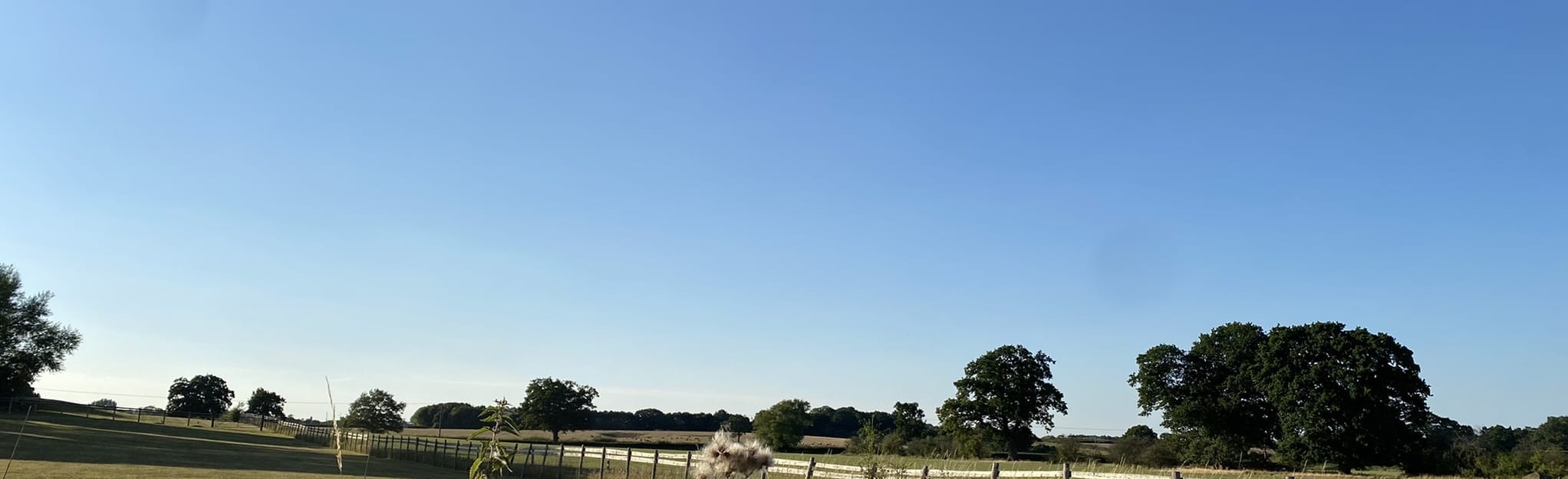 Studley Castle Out and Back: 9 Reviews, Map - Warwickshire, England ...