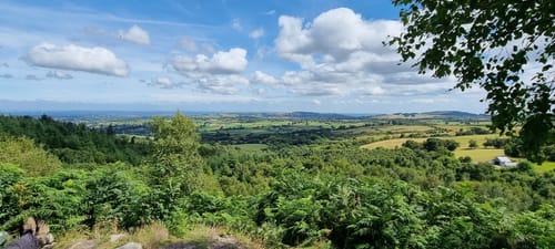 2023 Best 10 Trails, Walks, and Paths in Flintshire | AllTrails