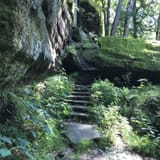 Ox Lot Cave via Rim Trail, Illinois - 345 Reviews, Map | AllTrails