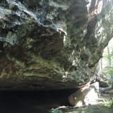 Ox Lot Cave via Rim Trail, Illinois - 345 Reviews, Map | AllTrails