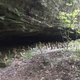 Ox Lot Cave via Rim Trail, Illinois - 345 Reviews, Map | AllTrails