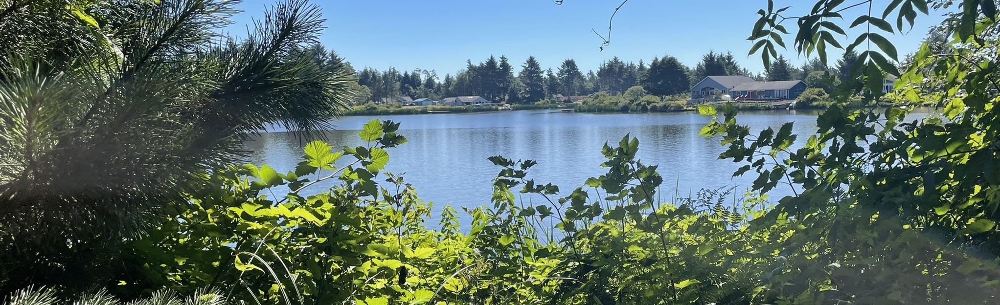 Weatherwax Trail, Washington - 243 Reviews, Map | AllTrails