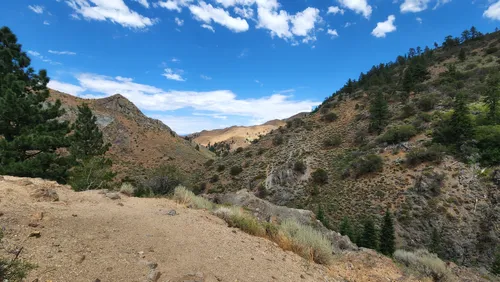 2023 Best 10 Trails and Hikes in Reno | AllTrails