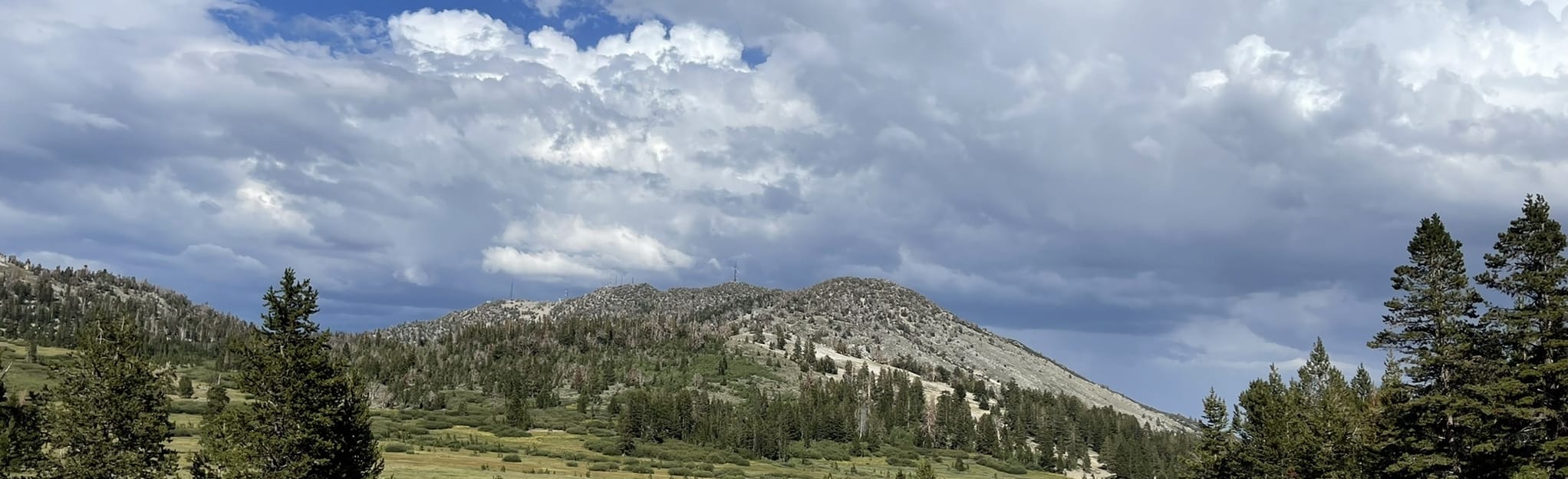 Chickadee Ridge via Tahoe Rim Trail, Nevada - 2,182 Reviews, Map ...