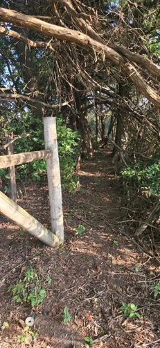 Best Hikes and Trails in Cedar Lake Farm Regional Park | AllTrails