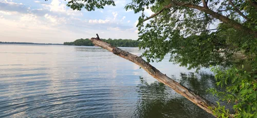 Best Hikes and Trails in Cedar Lake Farm Regional Park | AllTrails