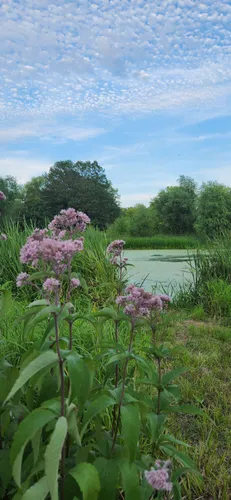 Best Hikes and Trails in Cedar Lake Farm Regional Park | AllTrails