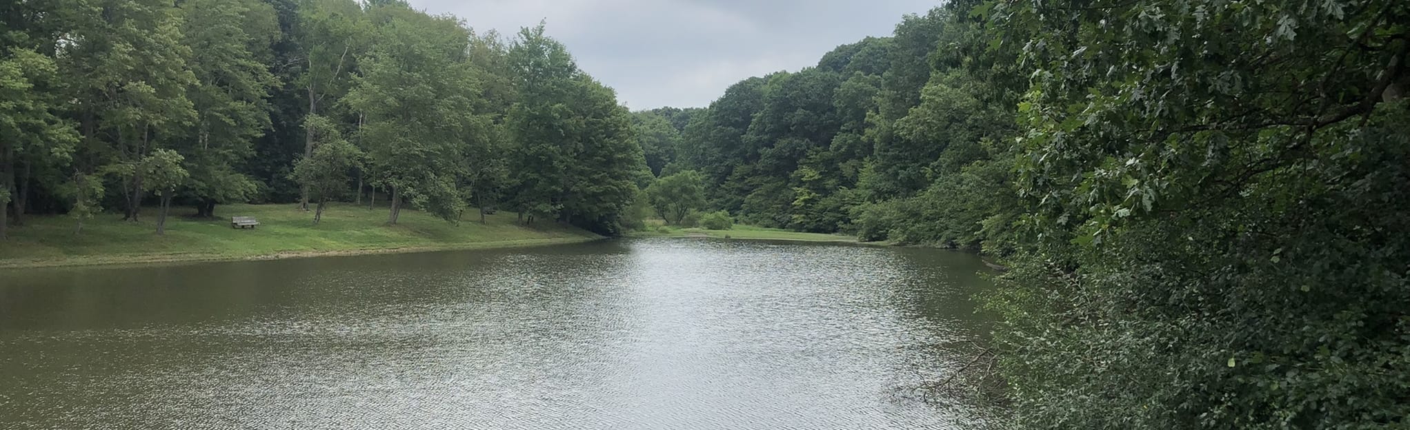 Cranberry Trail, Pennsylvania - 269 Reviews, Map | AllTrails