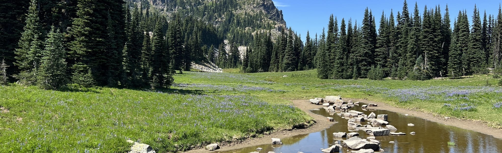 Palisades Lakes Trail | Mapa, Roteiro - Washington | AllTrails
